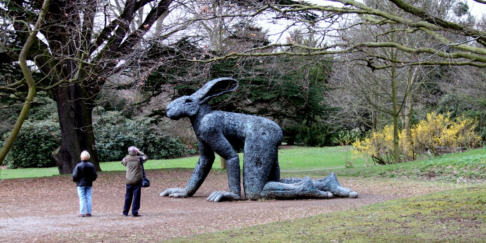 Newcastle upon Tyne and Northumberland Daily Photo: Lady-Hare