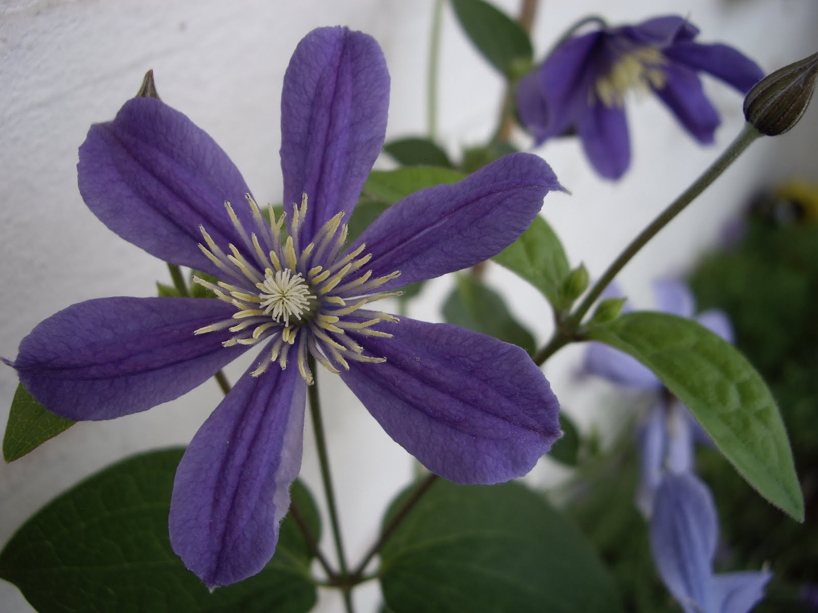 Tuesday, 20 July 2010