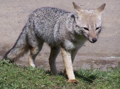 Concesion Ruta 160: Medio Ambiente
