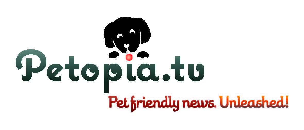 Escondido Humane Society: Have you seen Petopia.tv yet?