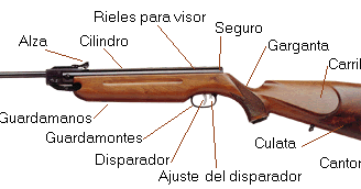 caza y pesca......: PARTES DE UN RIFLE COMUN