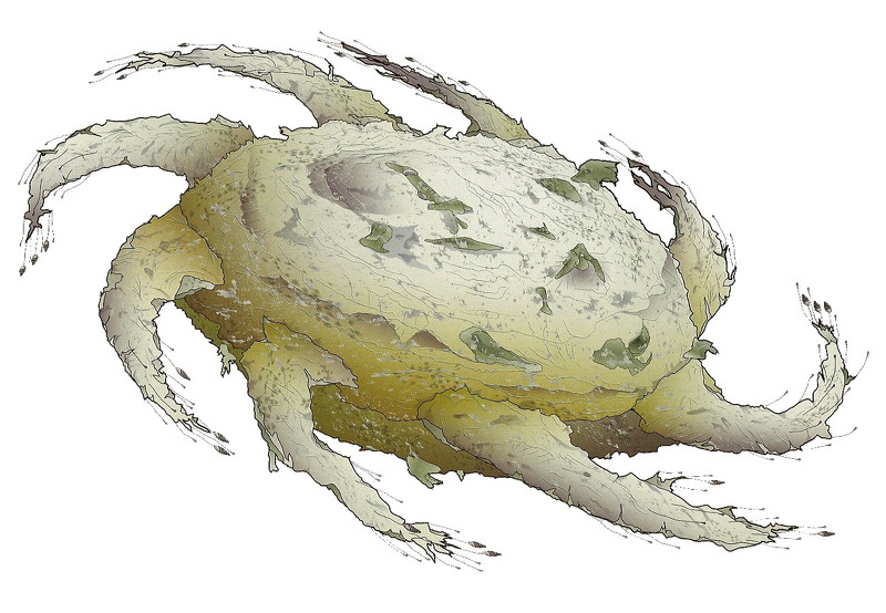 Starwroids: The Yuuzhan Vong