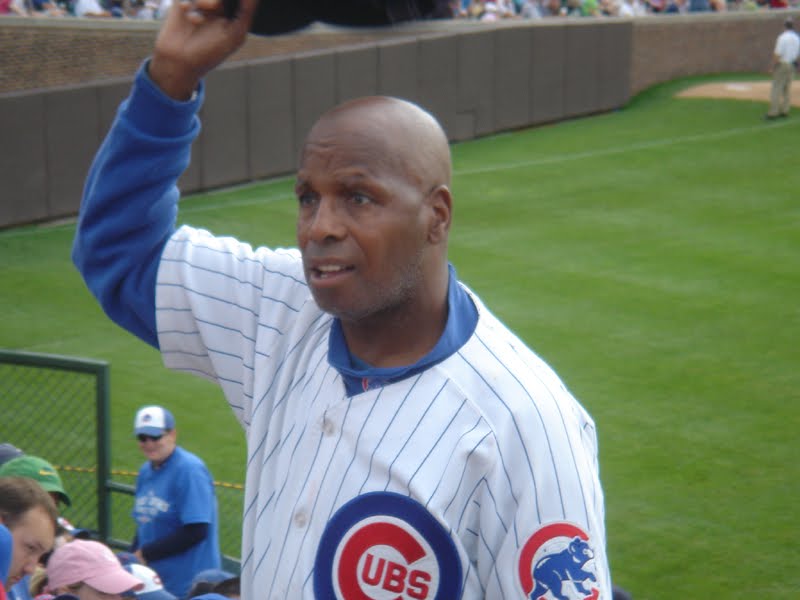 June 2010 | Wrigley Blog