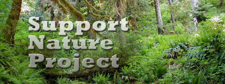 Support Nature Project: Jake Kelly