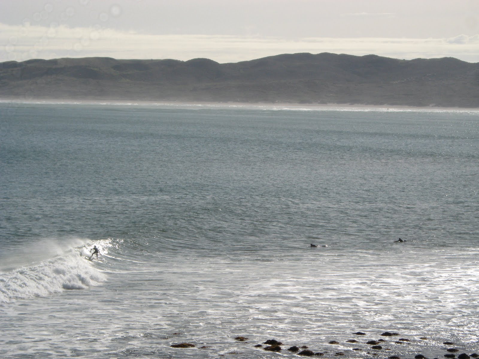 New Zealand Adventure: Raglan - the Surf is up