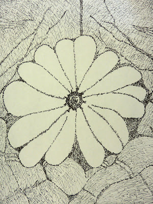 Seward High Art: Micrography