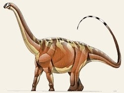 Dinosaurios de Argentina: Dinosaurios de Neuquén