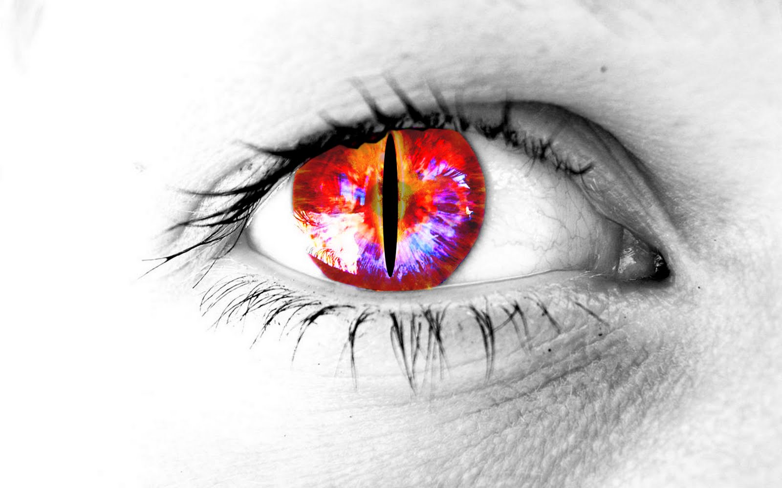 IBBY's BLOG: nine tails eye