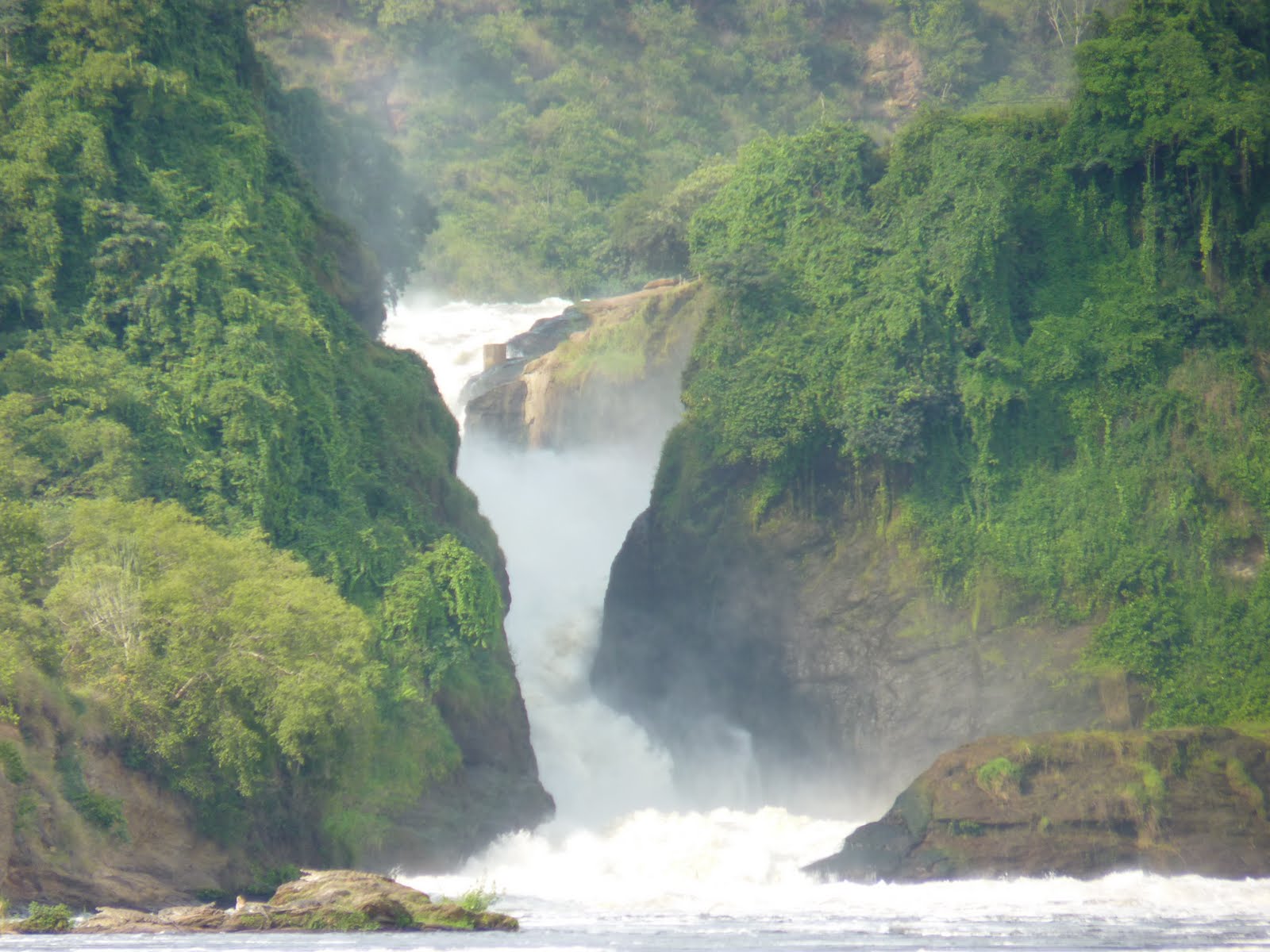 The Pam-African Queen: Murchison Falls