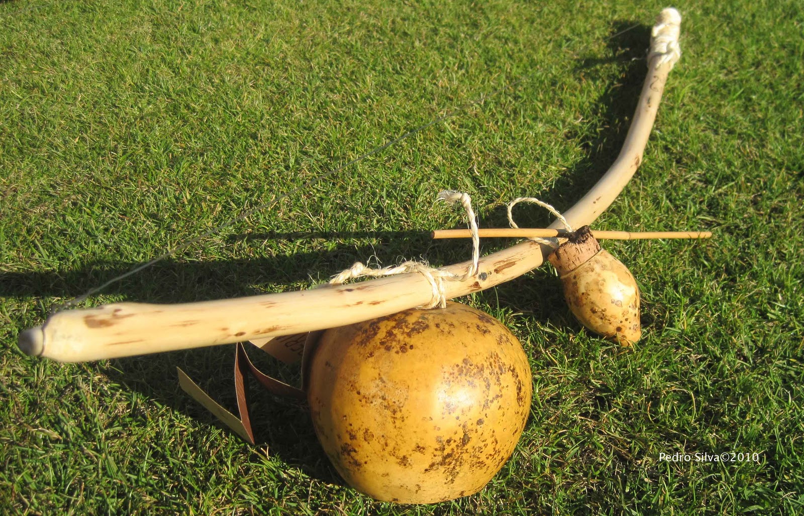 O Explorador de Sons: O Berimbau de Peito