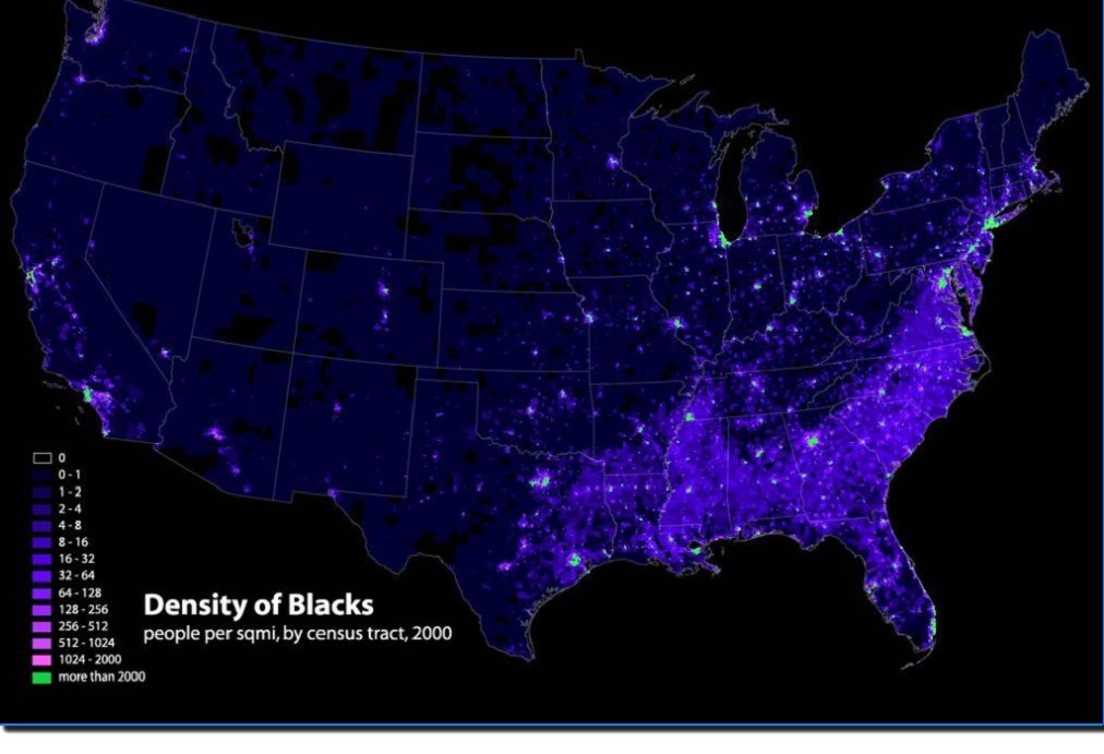 Black Diaspora: Pathways To A New Black Economy: The New Way (1)