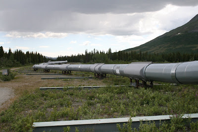 Impact of Earthquakes on the Trans Alaska Pipeline: Denali Fault Crossing
