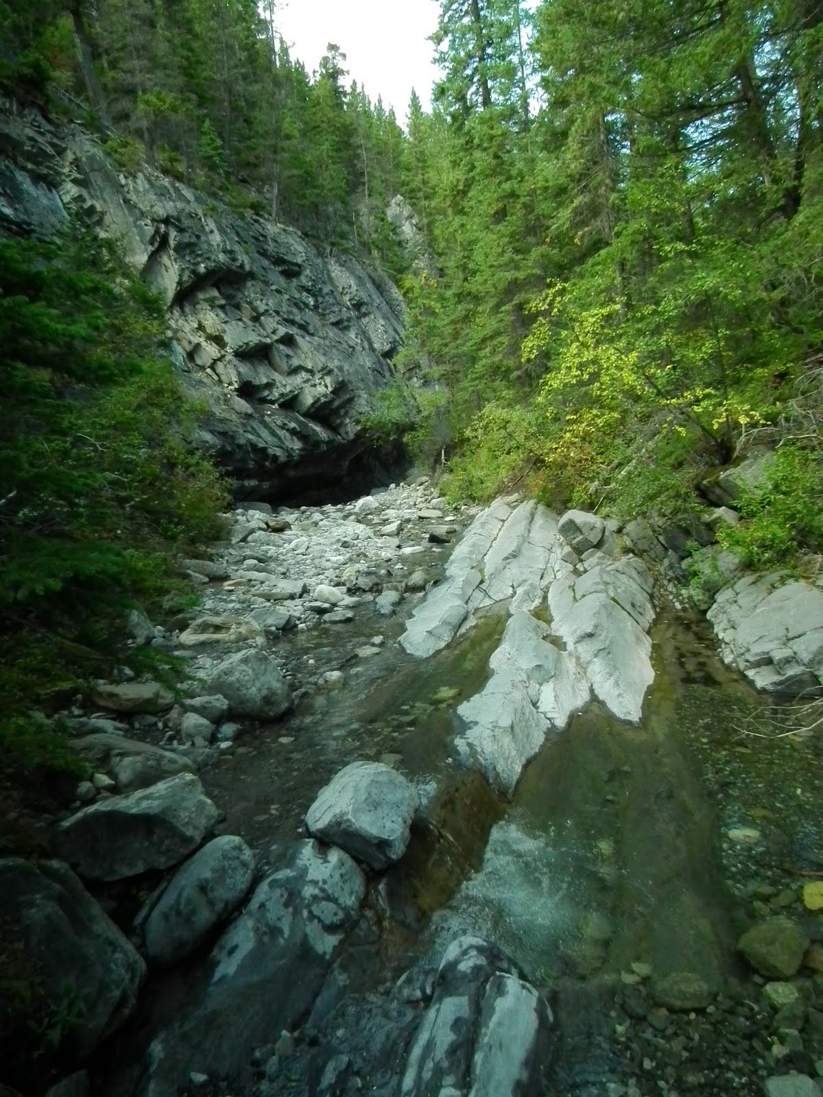 Happenings at Jello's House: To the Exshaw Shales Outcrop
