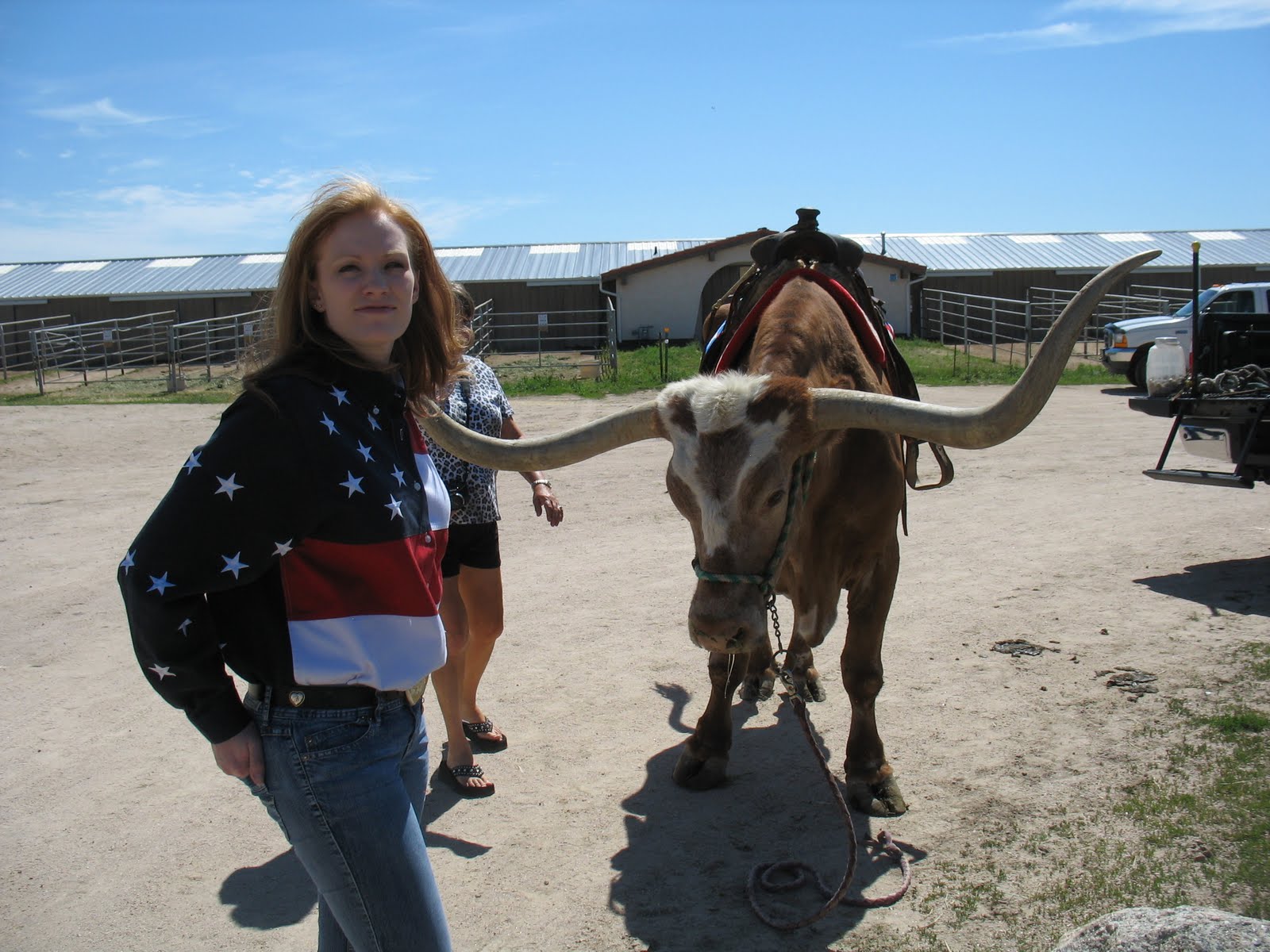 Mountain StatesTexas Longhorn Association: Riding Steers of Legendary ...