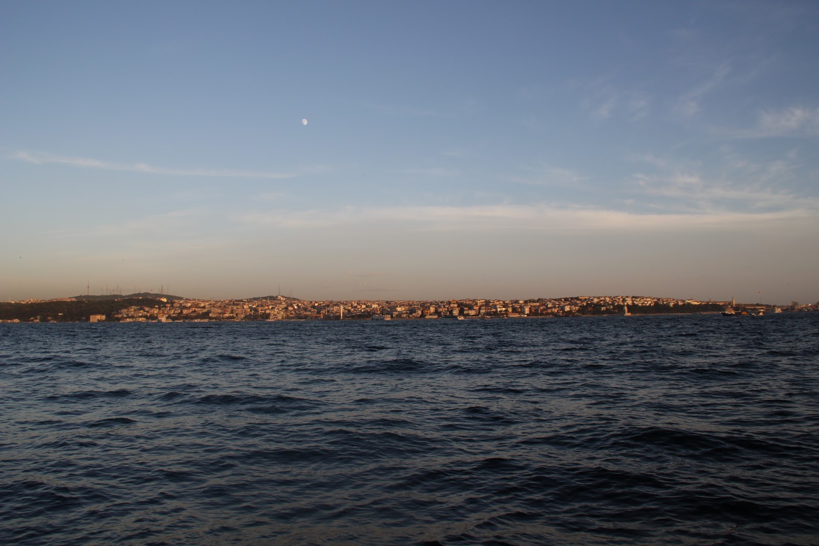 sokak no 27: deniz kenari