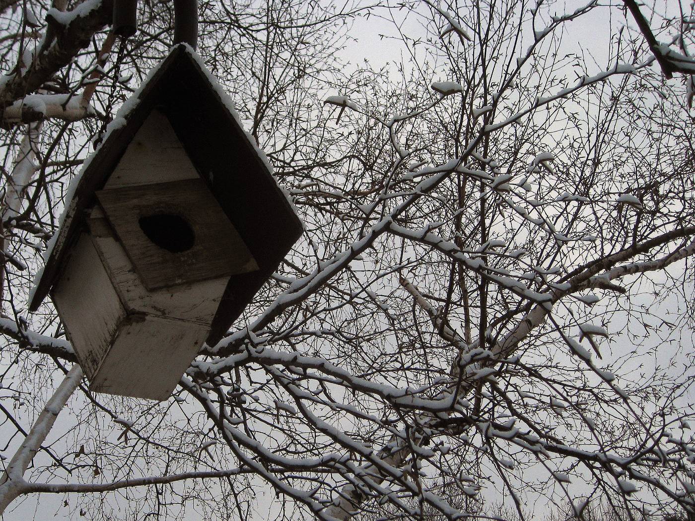 Shari's Chocolate Box: January 2011