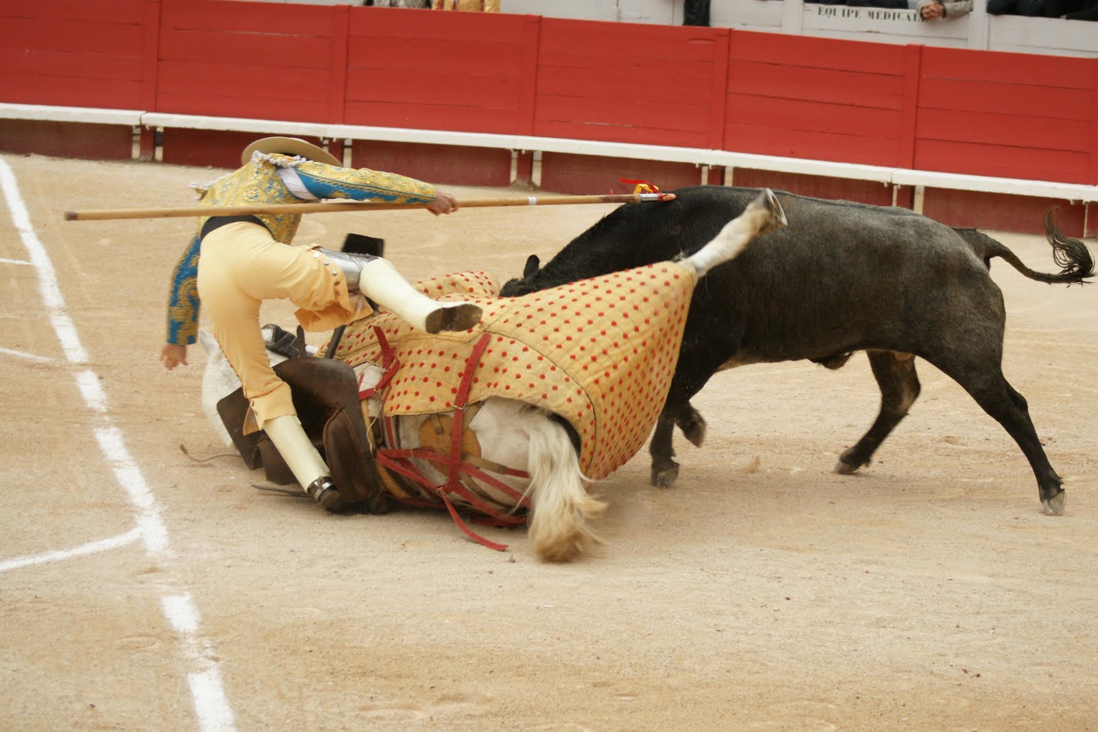 bad biou et gentil toro: corrida sans concours