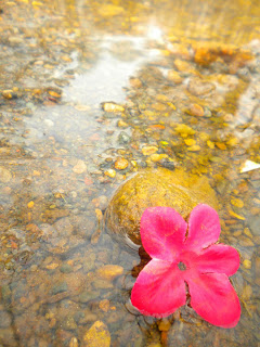 MHS Digital Photography - Carly Dillon