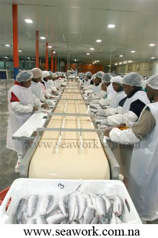 Fish fillet from Seawork fish processor: Fish fillet new photos uploaded