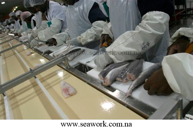 Fish fillet from Seawork fish processor: Fish fillet new photos uploaded