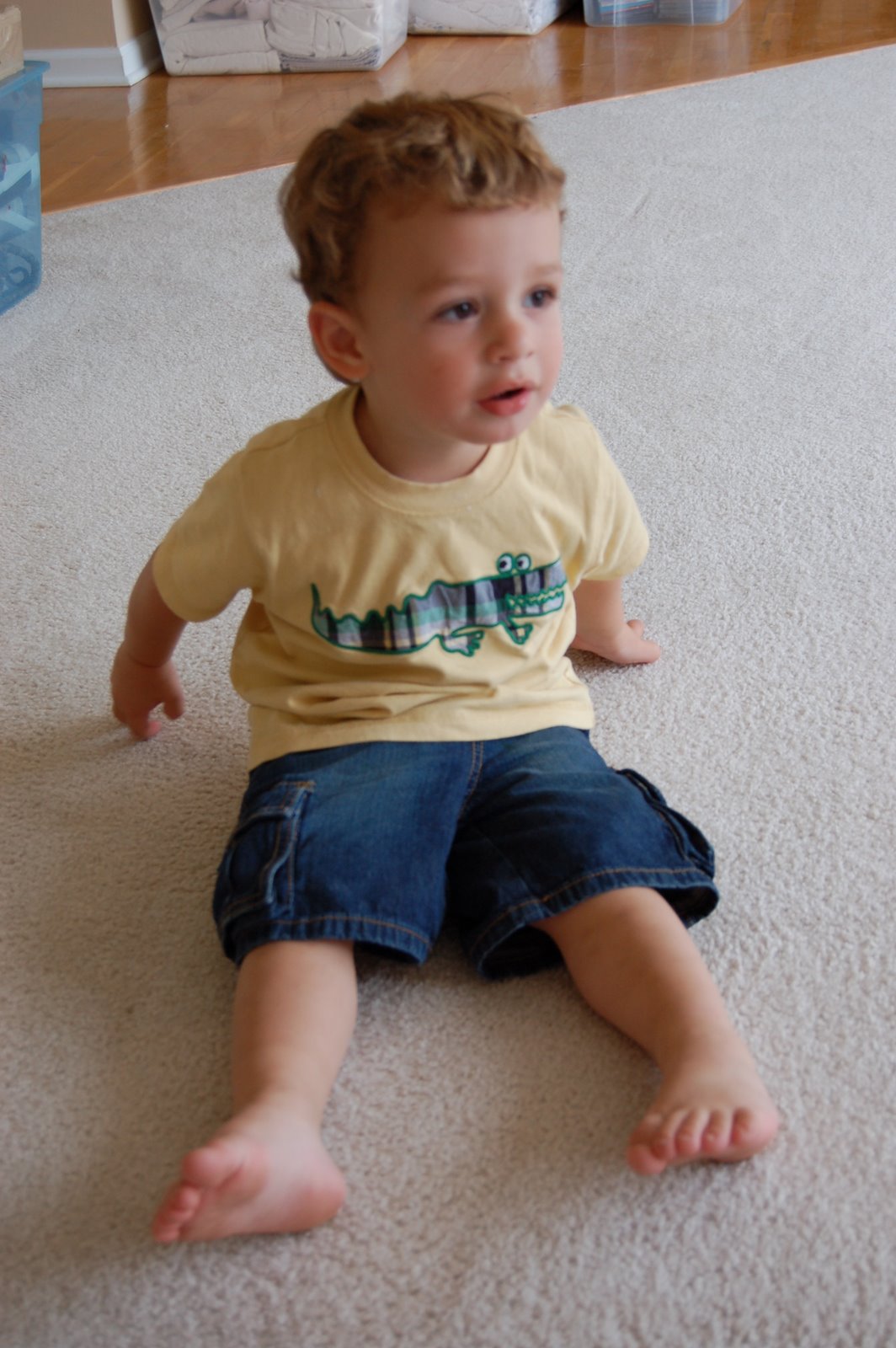 The Wollen Kids: Frolicking in the New House