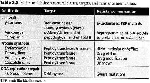 DRUGS INFO: Antibiotics Classes,Structure and Resistance