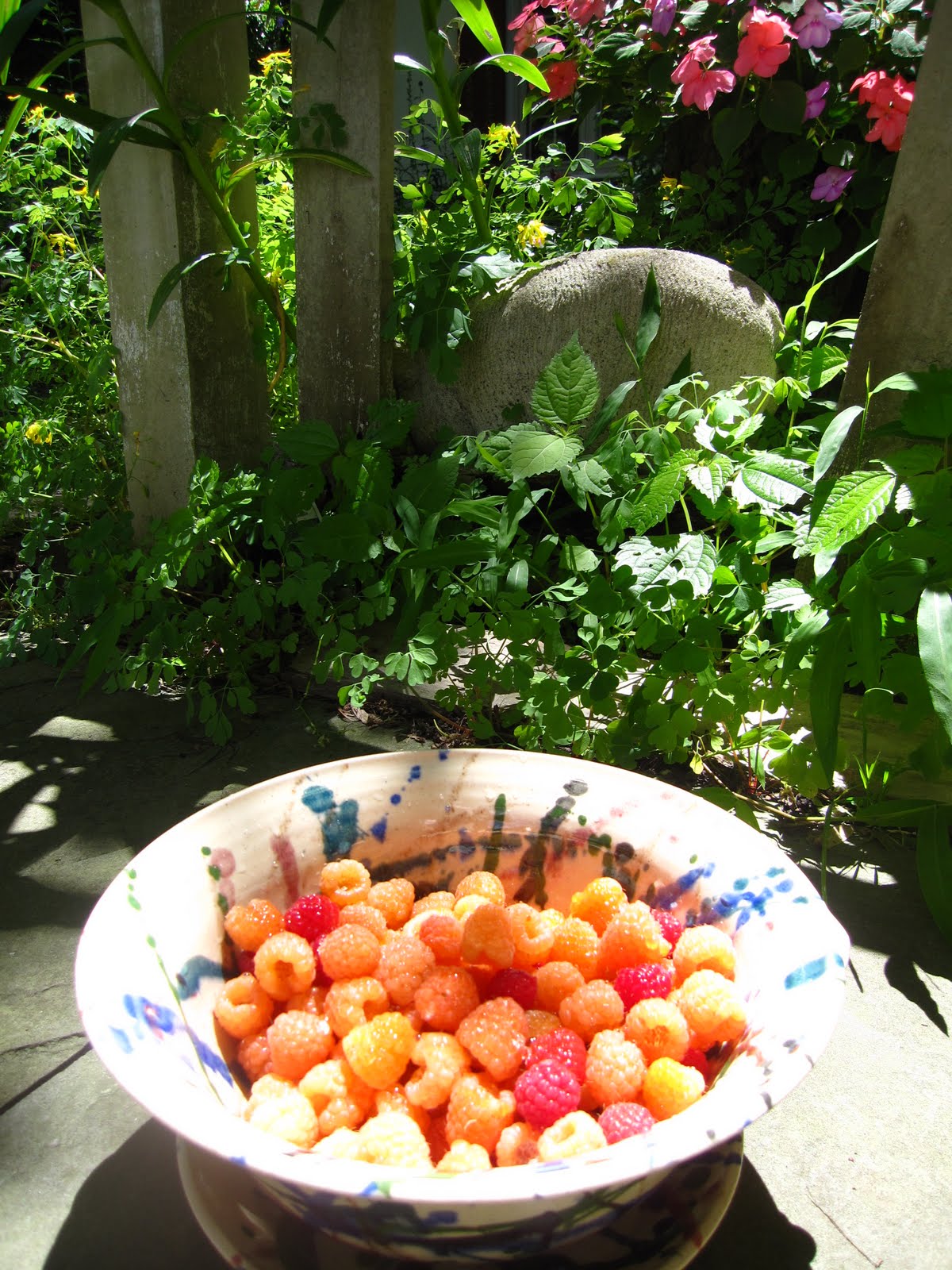 Frog Hollow Farm Girl: Raspberries and Summer Sundays