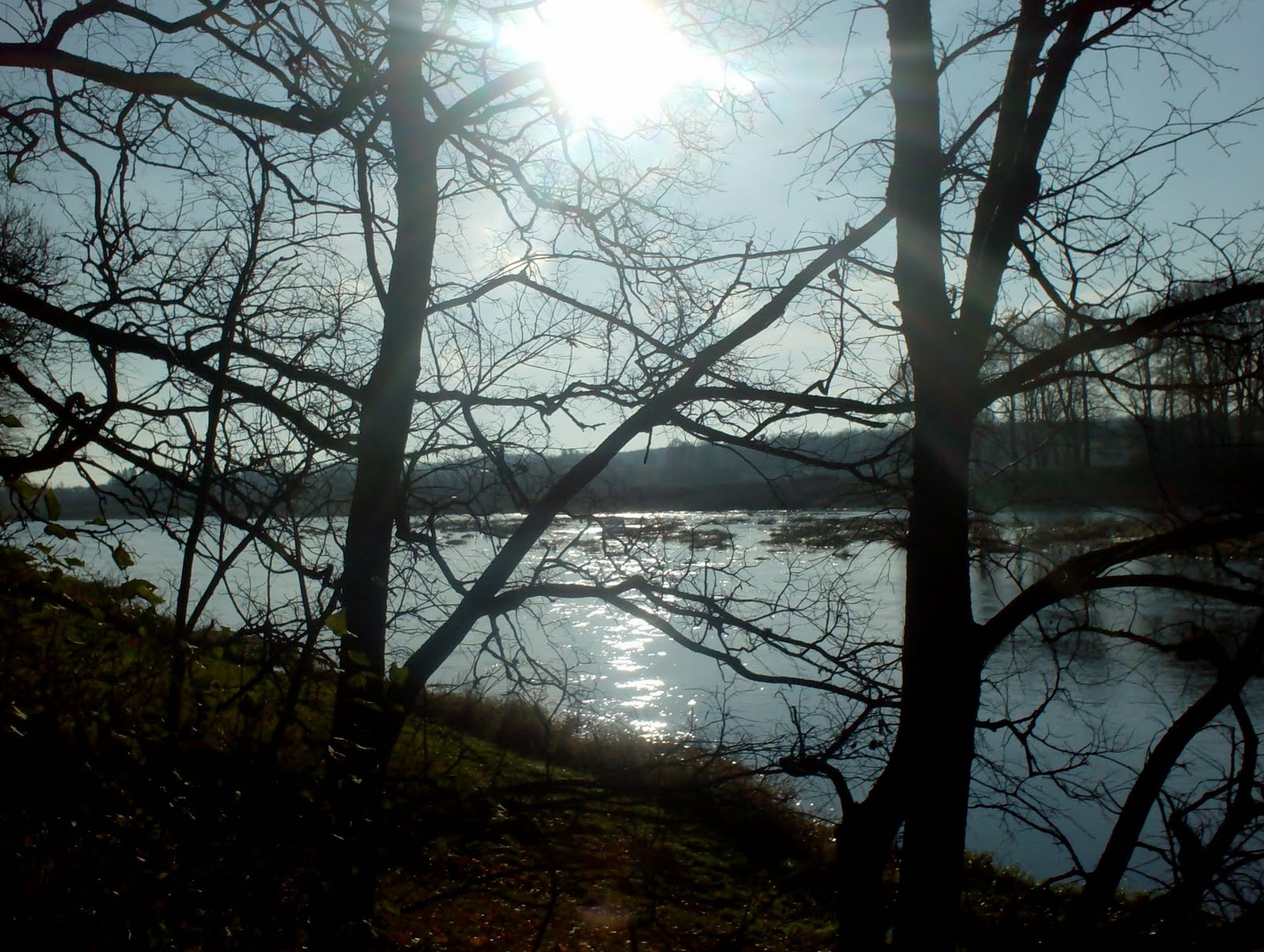 Jana in Riga: Nationalfeiertag und andere Geschehnisse