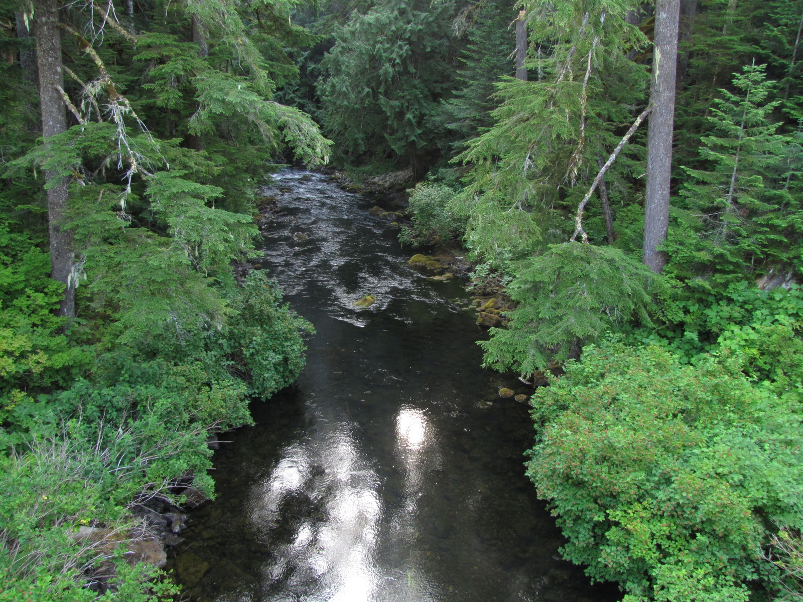 Vancouver Island Lake Adventures: Stewart Lake