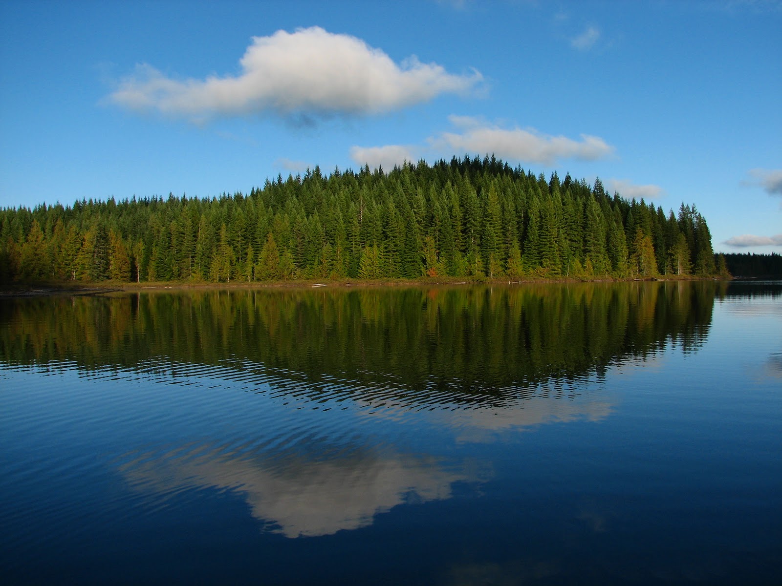 Vancouver Island Lake Adventures: Reginald Lake