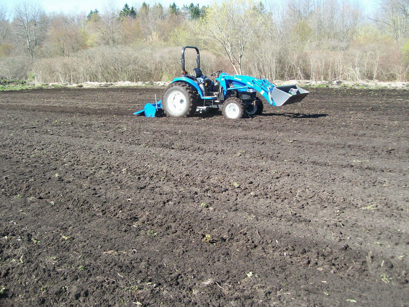 Andy's Specialty Garlic & Produce: Preparing and planting on our muck land
