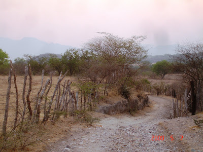 LA UNIDAD MORELOS: CHISCO, MPO. DE JOJUTLA, MORELOS, MÉXICO: Los campos ...