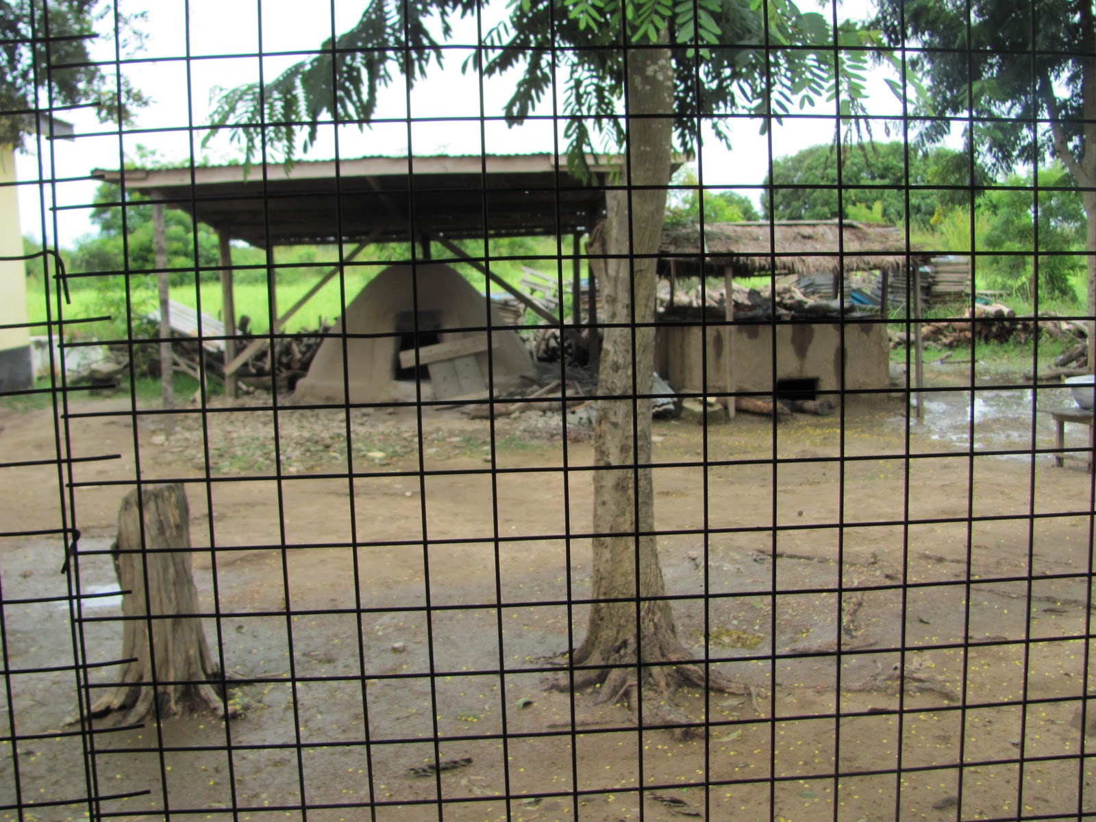 Service Above Self Safari: Journey to Africa: Adidome - Project Day