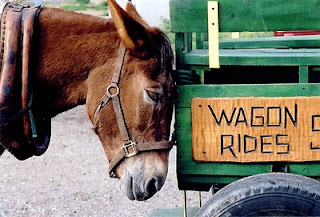 LetsTalkAboutUs: Don’t worry about the mule, just load the wagon!!