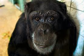 Asignaturas del Departamento de Filosofía del IES San Blas: 2010