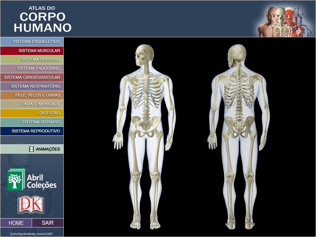 Entertainment information: Atlas do corpo Humano