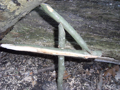 johnjayrambo11111: figure 4 trap mechanism