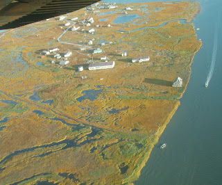 Katie Ronsse: Kwigillingok