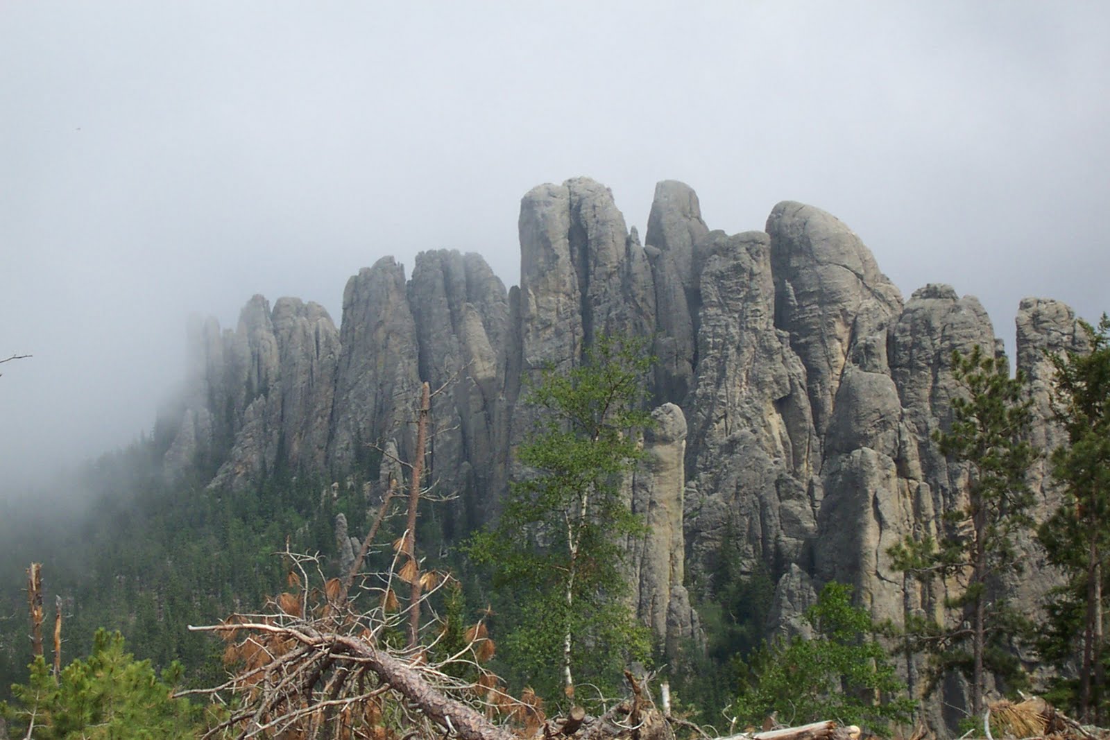Pictures from North and South Dakota/Devil's Tower, WY: July 2010: Mt ...