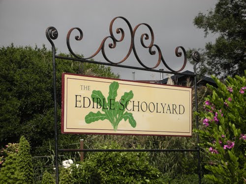 Geneva Car Barn Culinary Arts Summer Program Blog