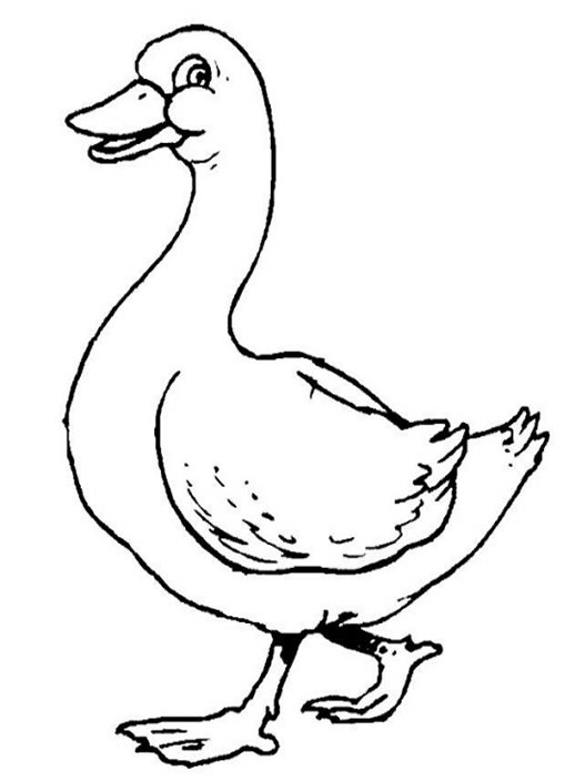 Stampa e colora: Papera