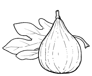 Stampa e colora: fico