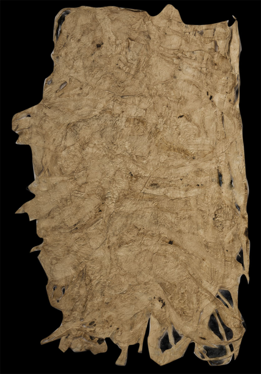 Kathyanne White: Amate Bark Print Textures