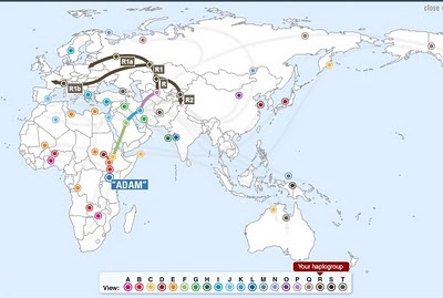 Peter Campbell's blog: Geneology