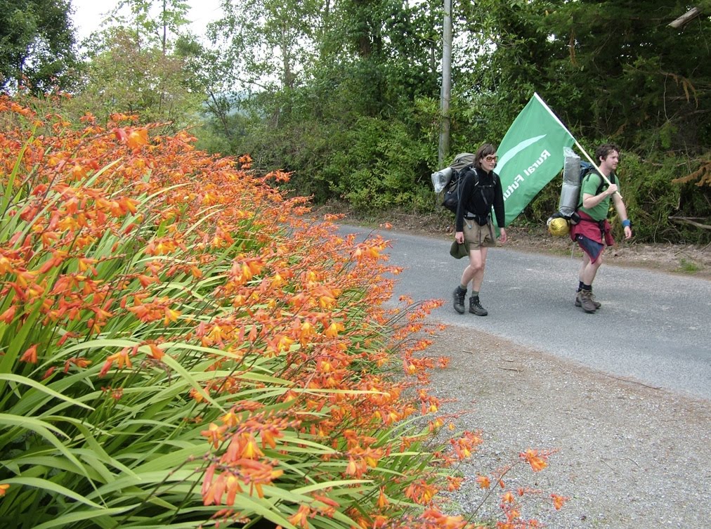 Aughty Walk: Rural Futures: Aughty Walk: Rural Futures Diary. Thursday ...