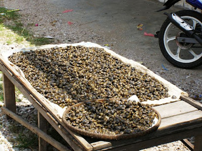 Santai Di Blog GG (9W2YZI): Etok Oh Etok ........