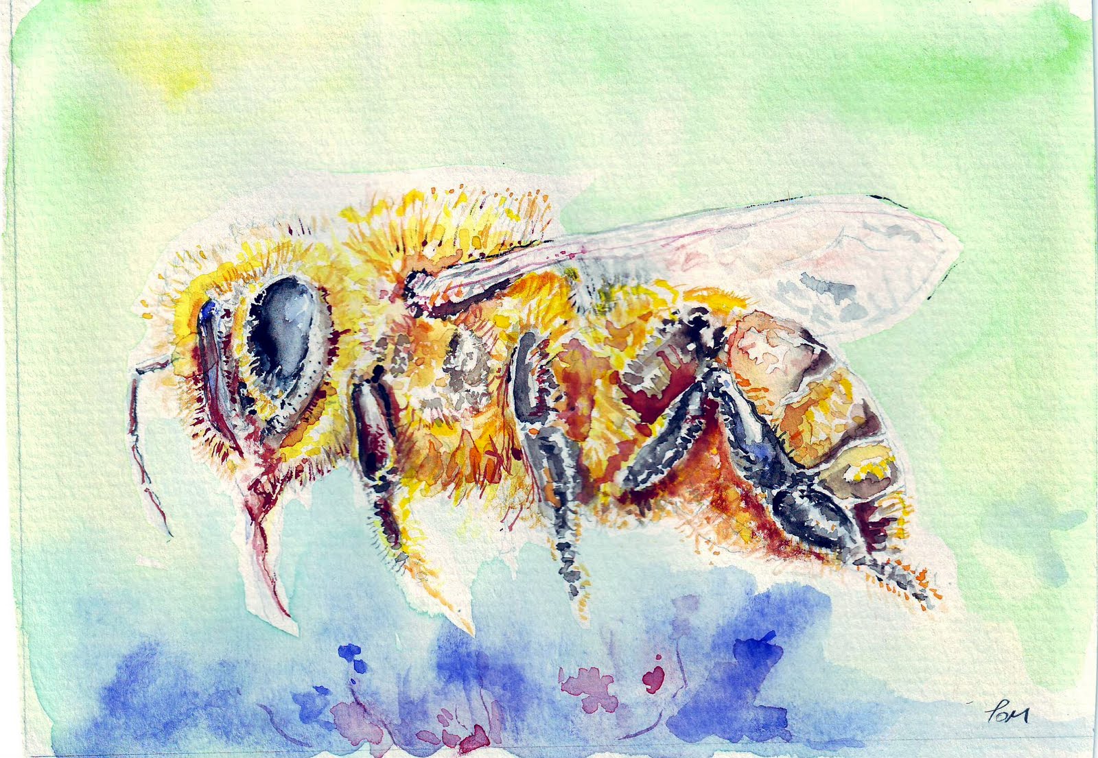 Seelenreise - Befreiende Kunst: Insekten