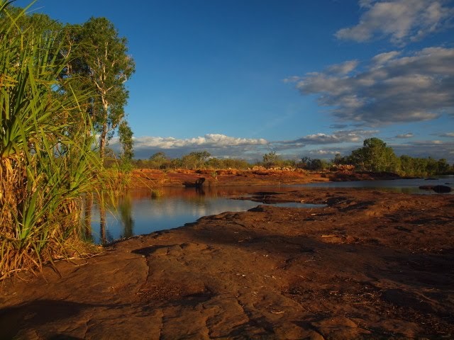 Newsomes' Dash: 3 Sep 10 - King Edward River
