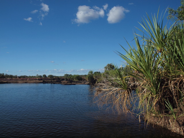 Newsomes' Dash: 3 Sep 10 - King Edward River