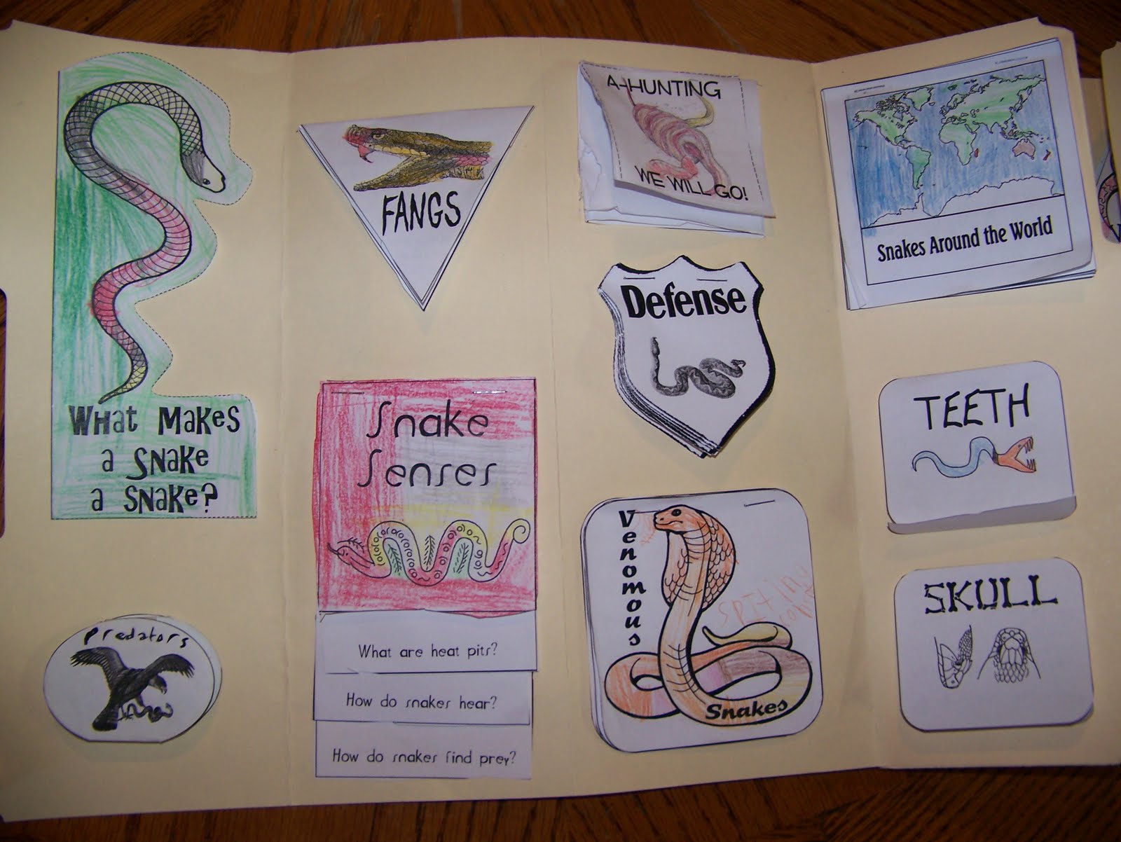 This Side UP: Snake Lapbook
